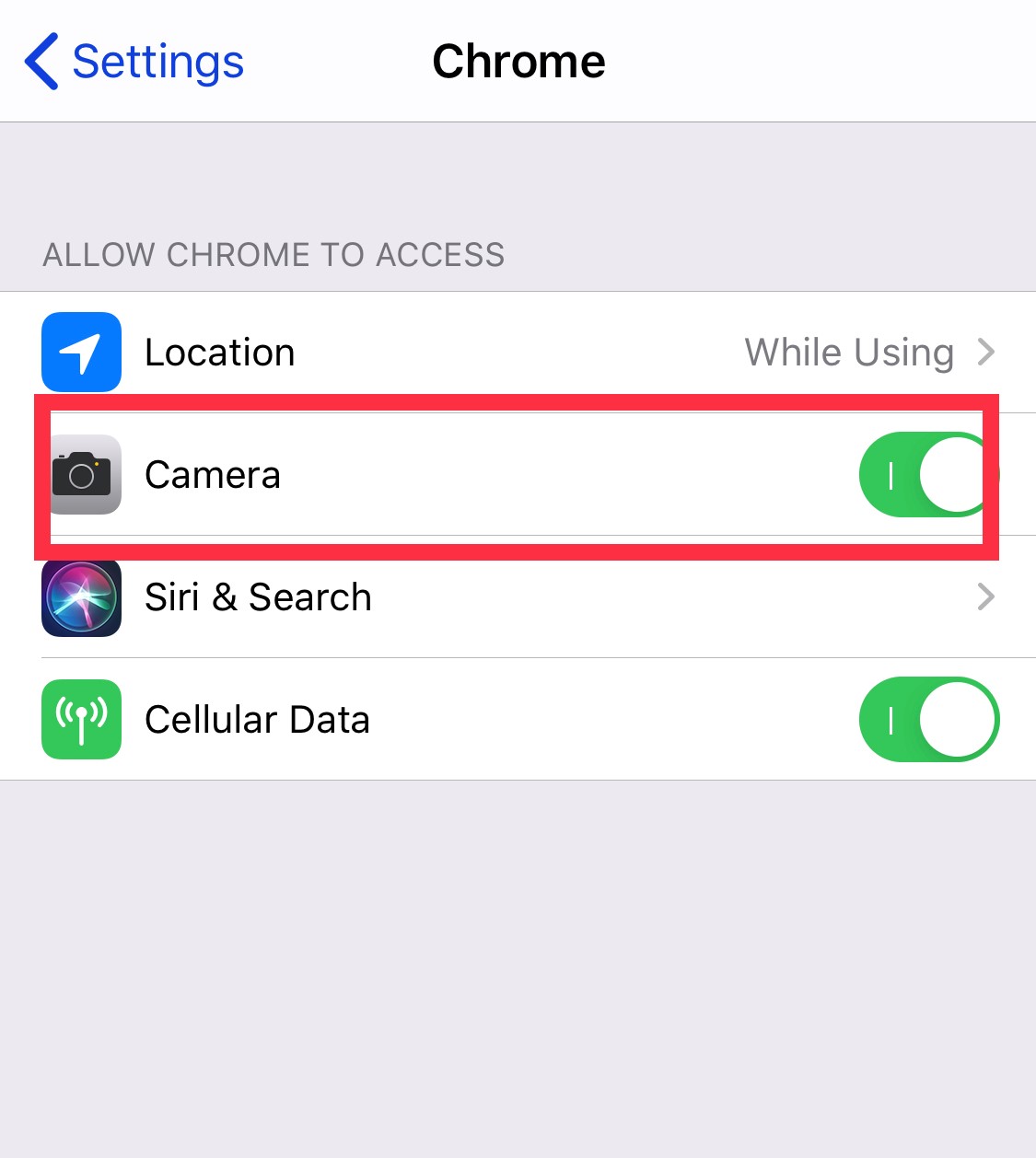 Enabling iOS Browser Access to Your Camera – PROSALE